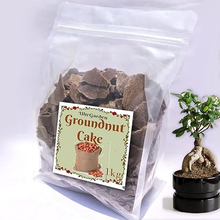 Ultragarden Pure Cold- Pressed Groundnut Cake/Kadalai Punnakku/Peanut ...