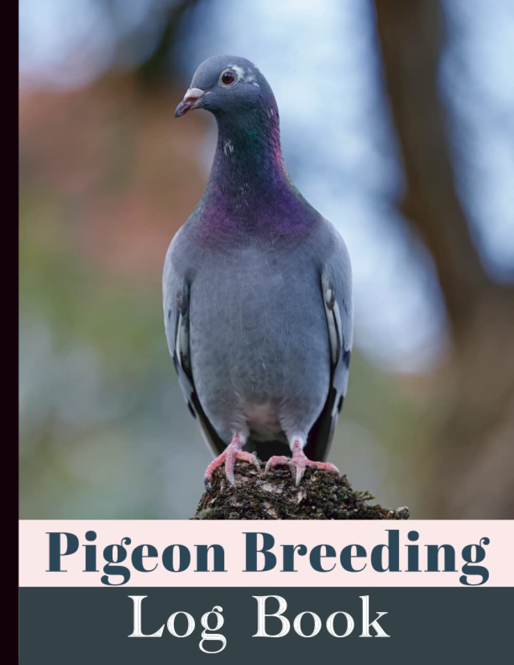 Buy Pigeon Breeding Log Book: Big size 8.5 by 11 inches 130 pages of ...
