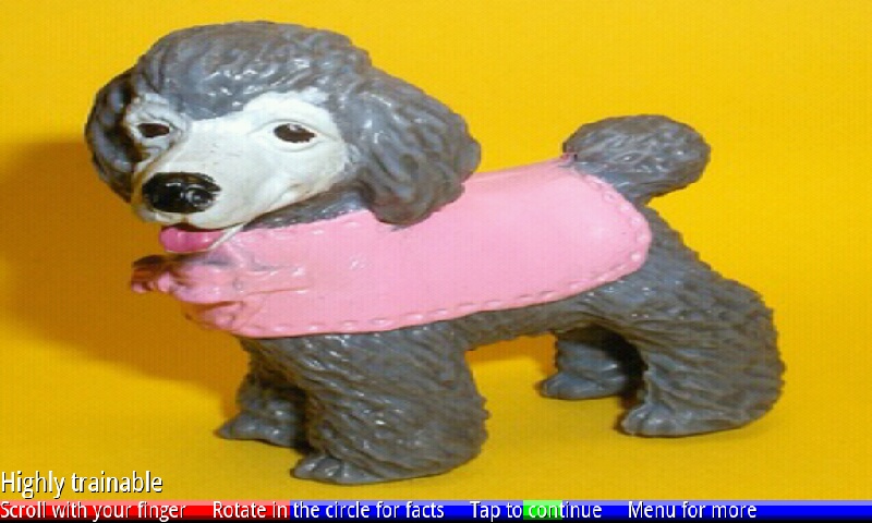 Model Puppy Dog Breeds 2 - App on the Amazon Appstore