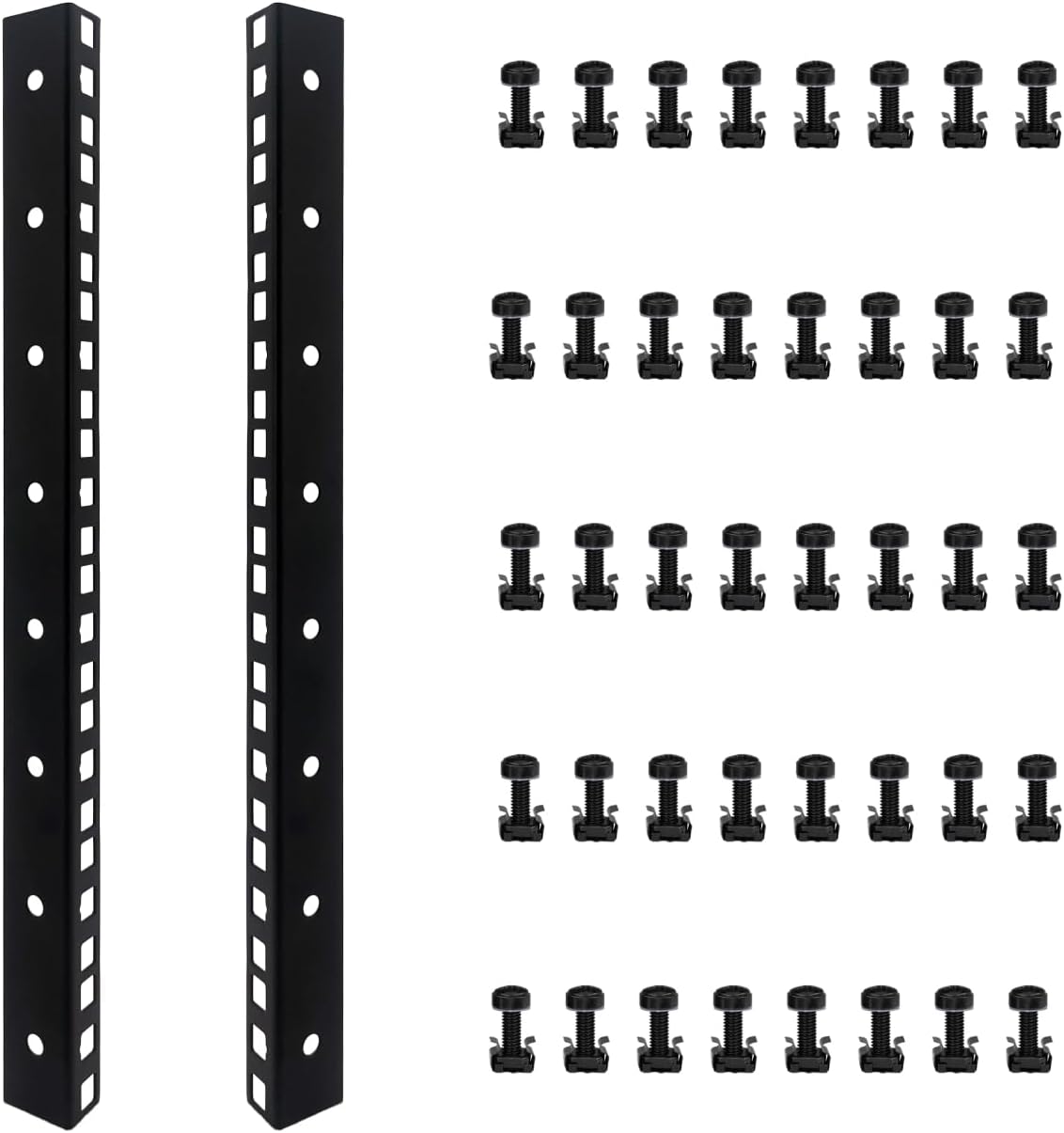 Amazon.com: FMUSER 8U Rack Rails with M6 Rack Mount Screws and Cage ...