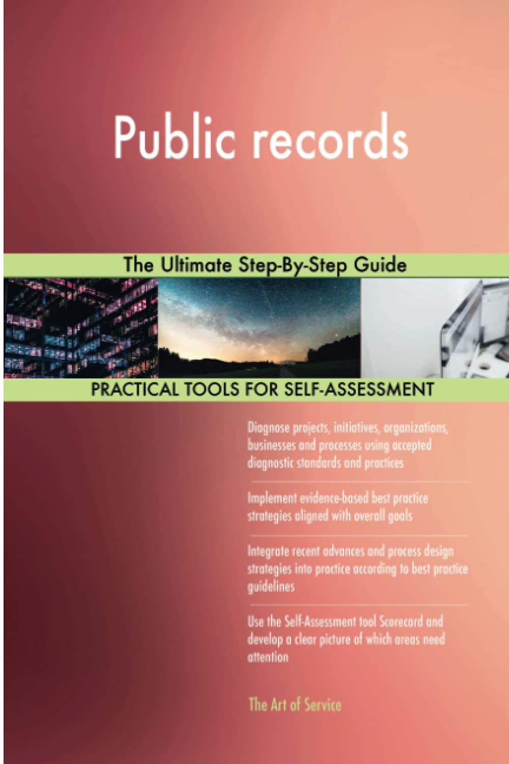 Buy Public records The Ultimate Step-By-Step Guide Book Online at Low ...