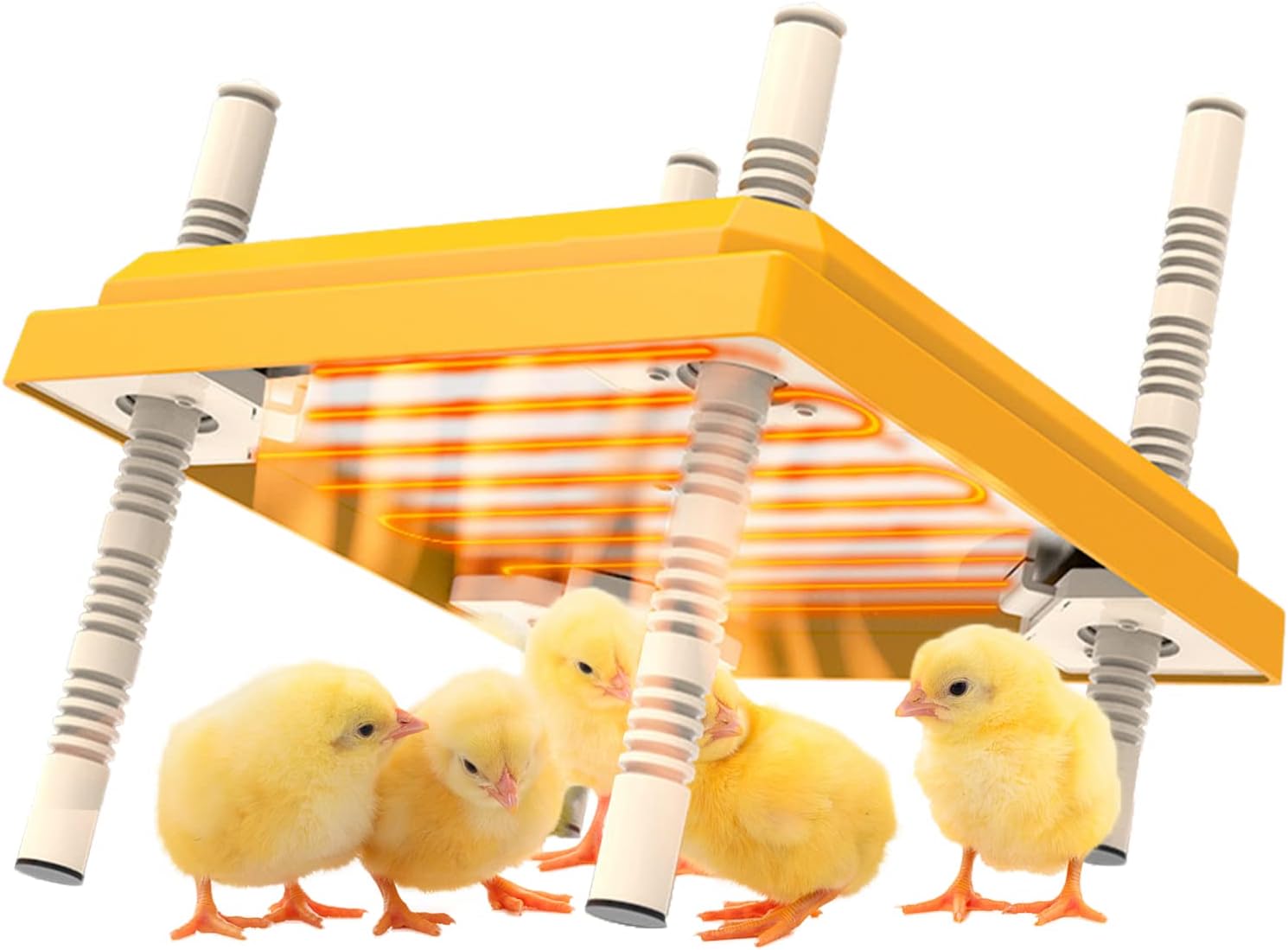 Amazon.com: Timisea Brooder Heater for Chicks,10” x 10” for 15 Chicks ...
