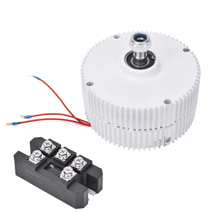 Buy Synchronous Motor, 12V/24V 300W 750rpm 3 Phase Alternator Wind ...