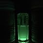 Amazon.com: Glow Worm - Phosphorescent Powder - 6 Ounce (Yellow-Green)