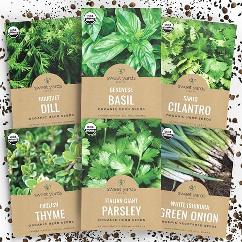 Amazon.com : Organic Herb Seeds Variety Pack - Non-GMO USDA Certified ...