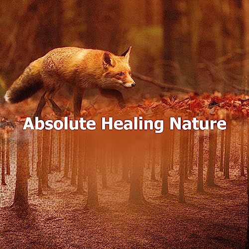 Absolute Healing Nature by Healing Nature FX on Amazon Music - Amazon.co.uk