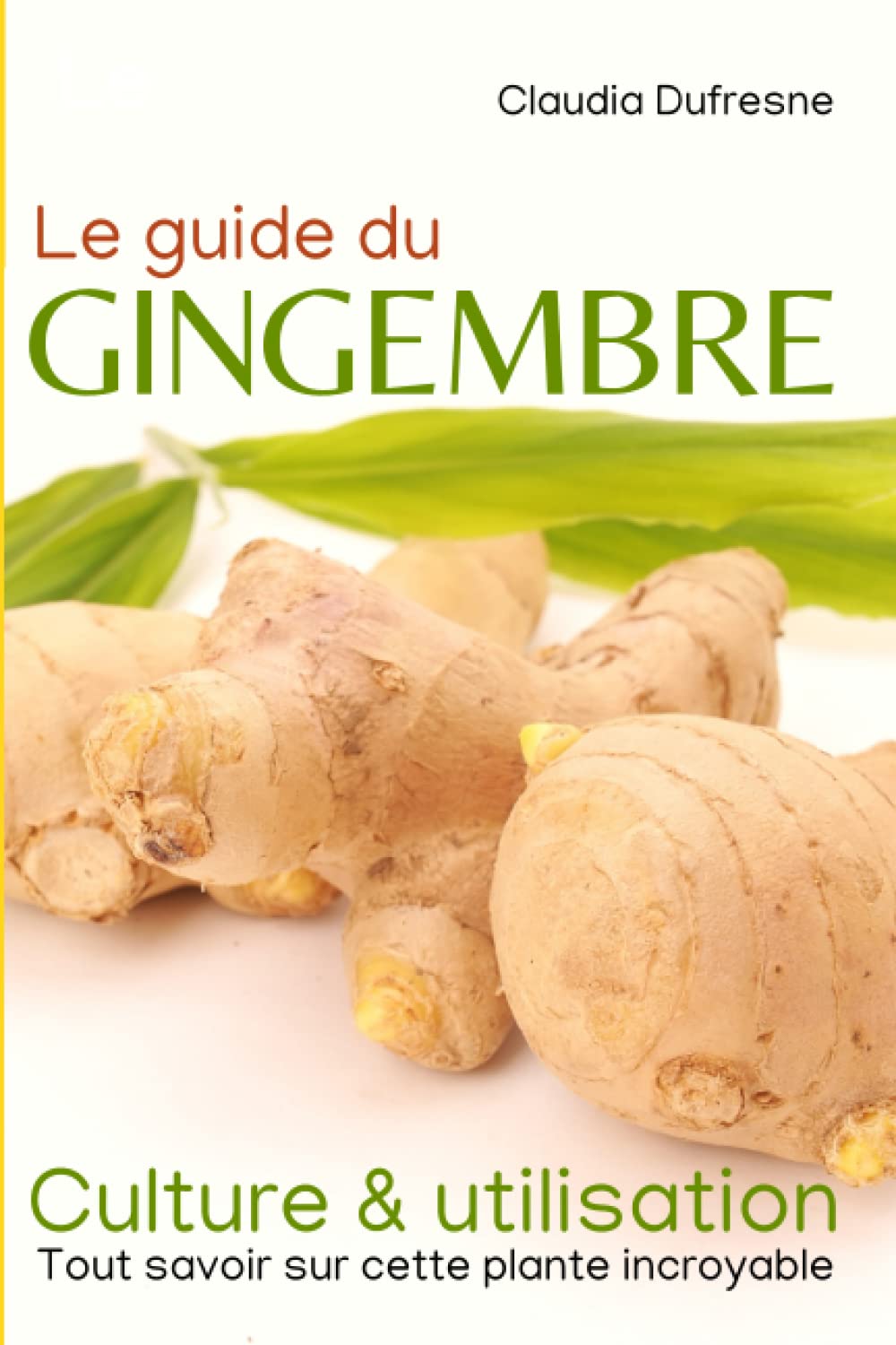 Gingembre Comment Cultiver Et Utiliser Le Gingembre Chez Soi Decouvrez ...