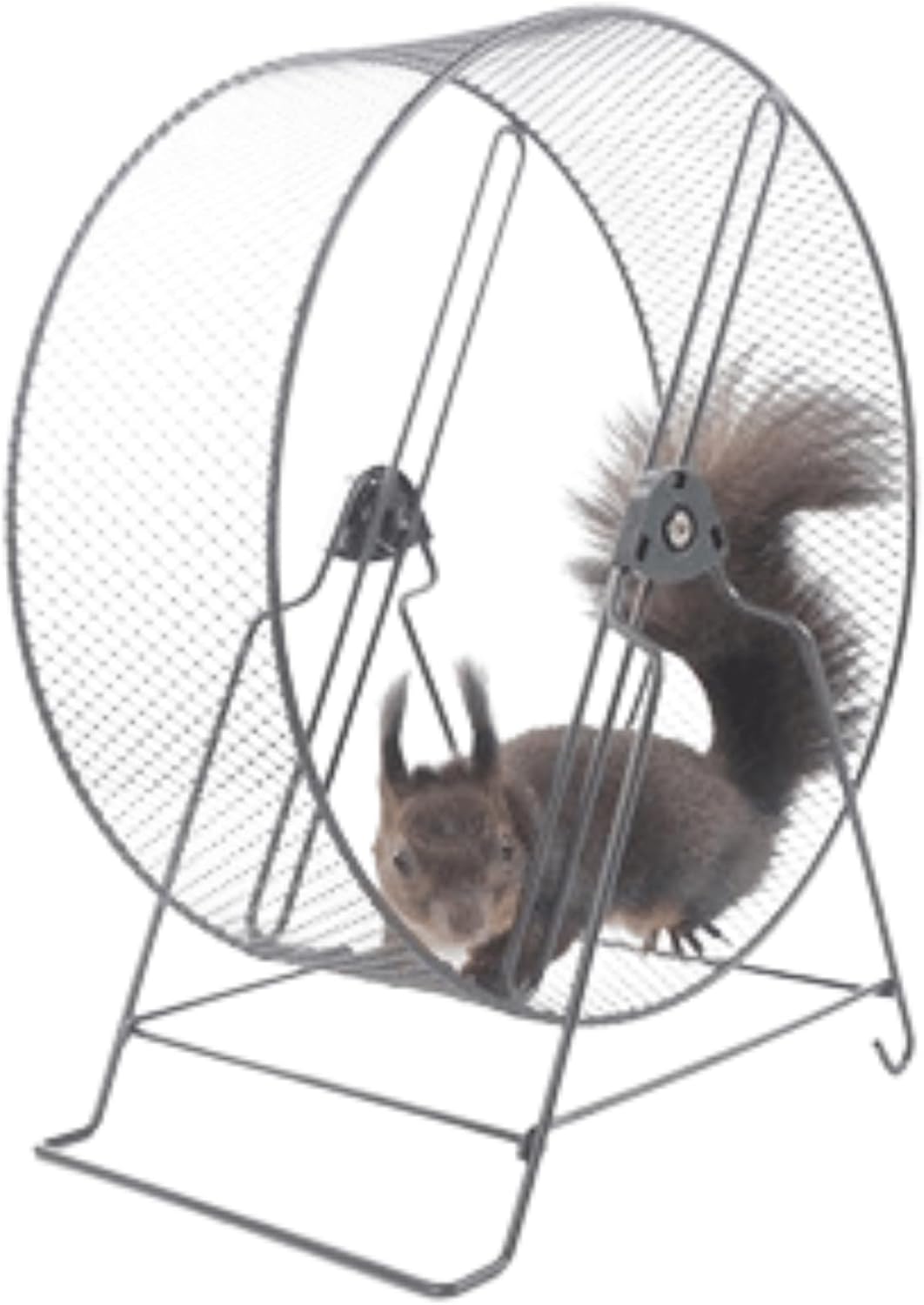 Amazon.com : Copfeu Hamster Running Wheel Squirrel Wheel Toy Hamster Wheel Funny Rat Wheel ...