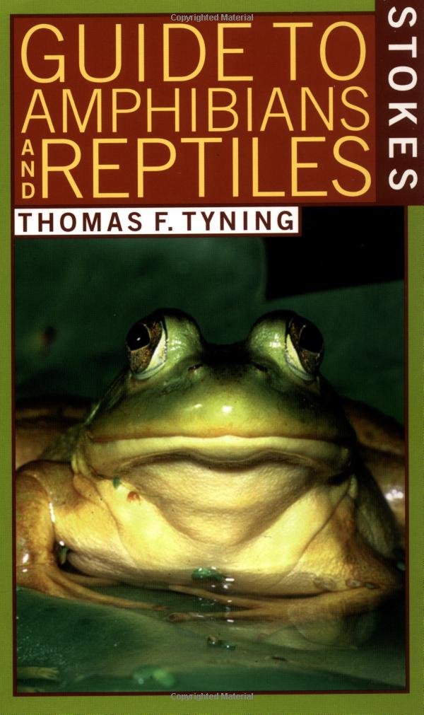 A Guide to Amphibians and Reptiles (Stokes Nature Guides): Tyning, Thomas F.: 9780316817134 ...