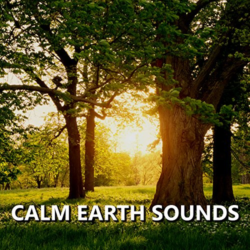 Amazon.com: Calm Earth Sounds : Earth Sounds: Digital Music