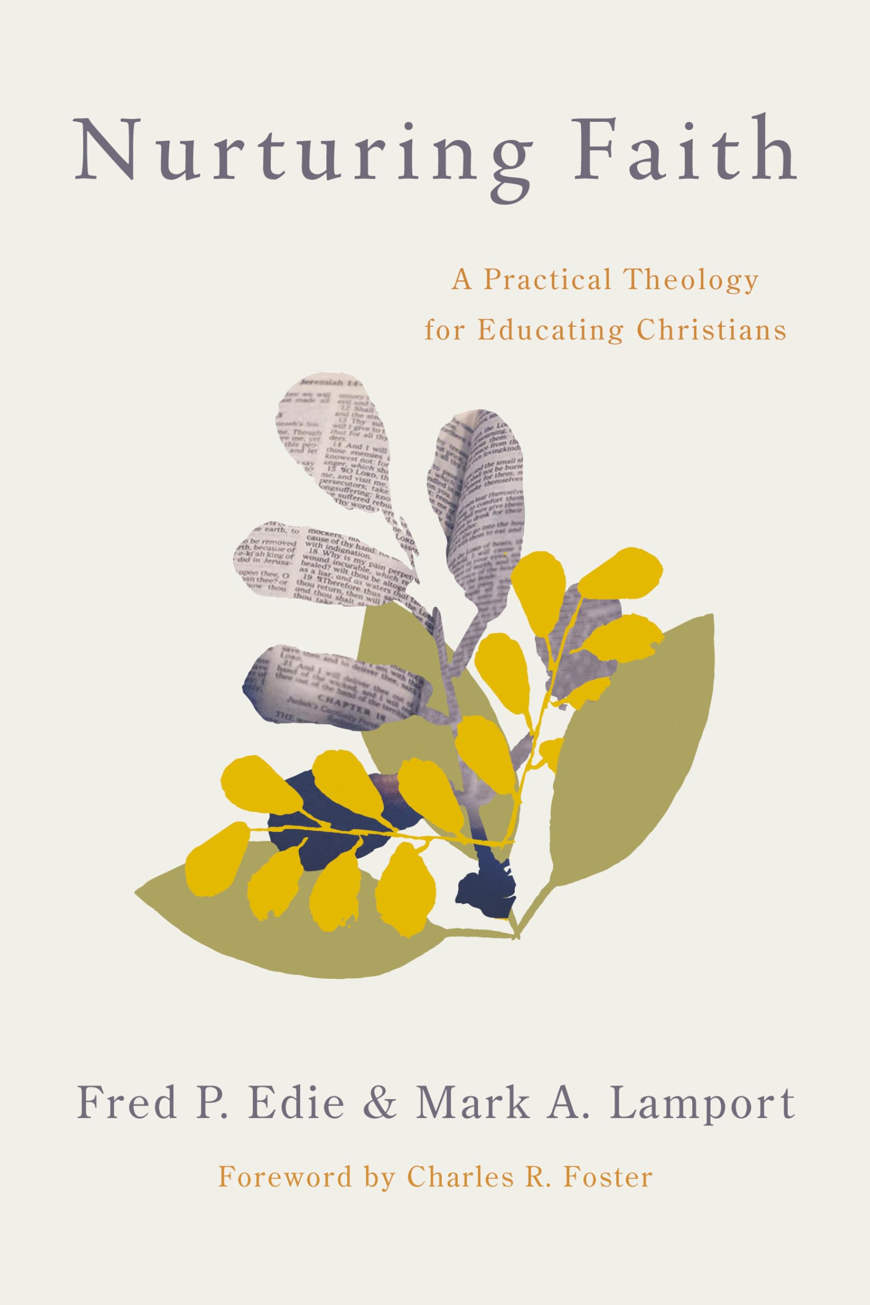 Nurturing Faith: A Practical Theology for Educating Christians: Edie ...
