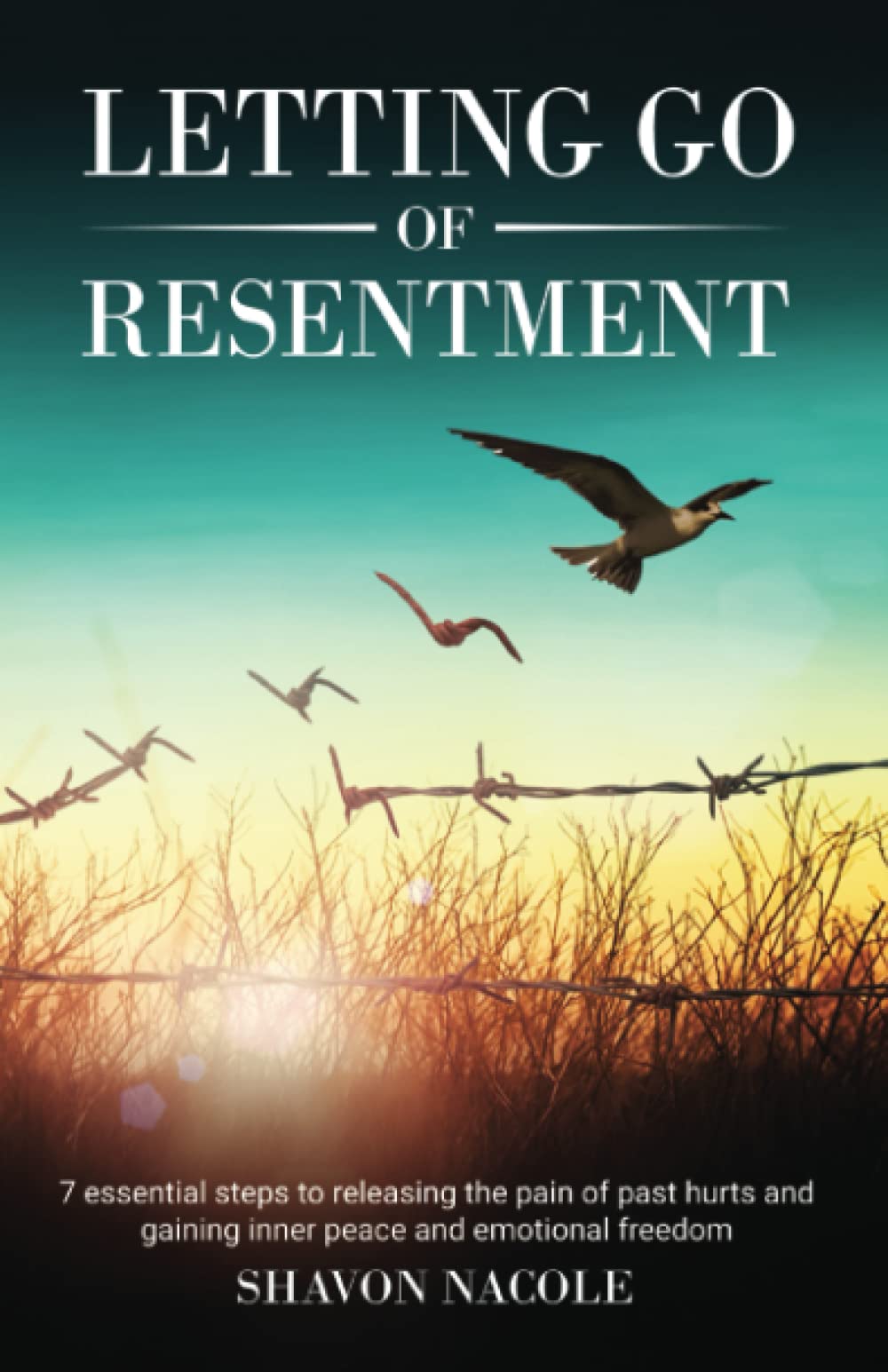 Letting Go of Resentment: 7 Essential steps to releasing the pain of ...