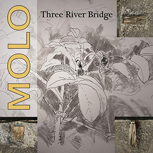 Play Three River Bridge by Molo on Amazon Music