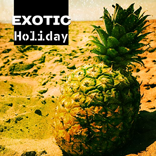 Exotic Holiday – Ibiza Coast, Beach Chill, Sea, Sand, Summer Chill Out ...