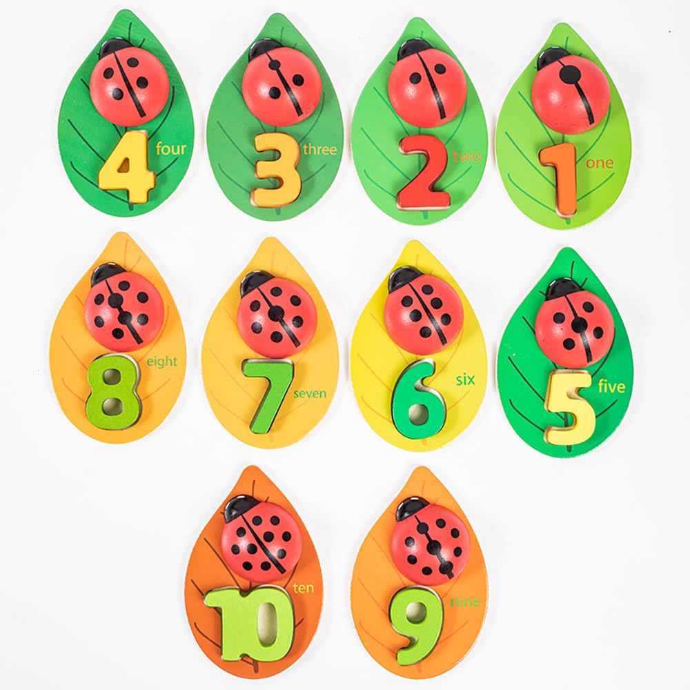 Amazon.com: Montessori Counting Ladybugs, for Kids 2 3 4 5 Year Old ...