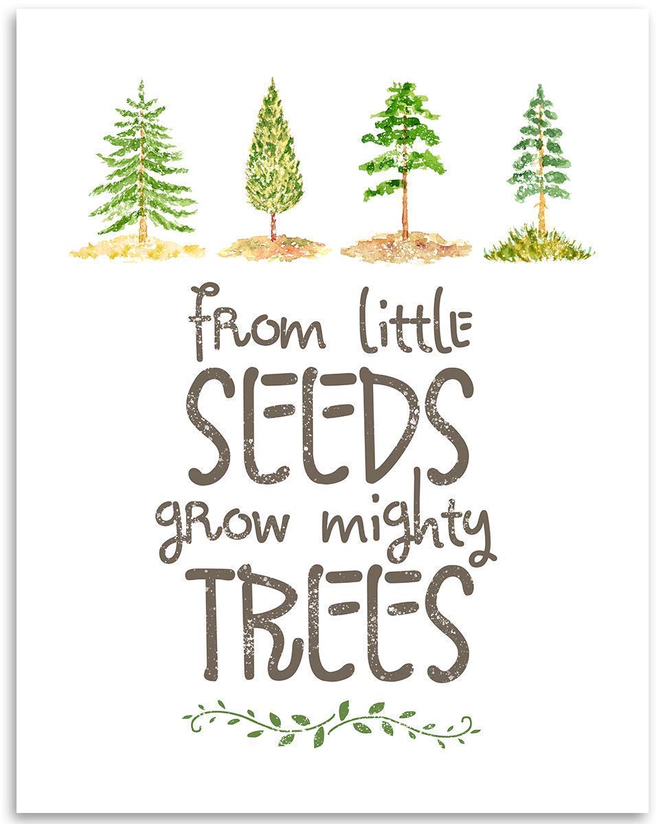 Amazon.com: From Little Seeds Grow Mighty Trees - 11x14 Unframed Art ...