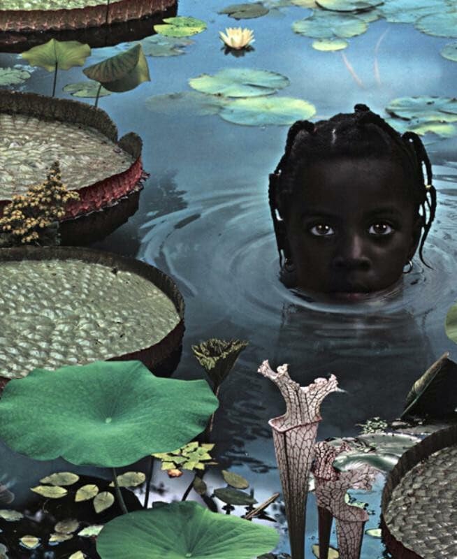 Ruud Van Empel - 25 Years Of Photo Works 1995-2020: Christian Caujolle ...
