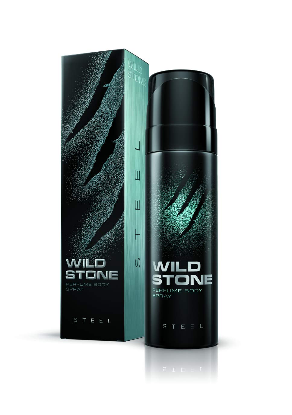 Wild Stone Steel Perfume Body Spray for Men- 120 ml : Amazon.in: Beauty