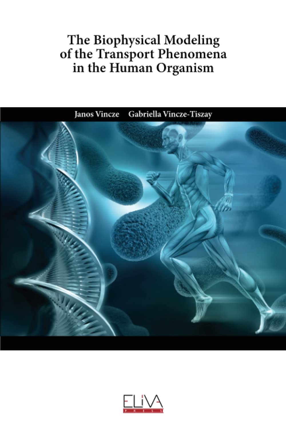 The Biophysical Modeling of the Transport Phenomena in the Human Organism: Vincze, Janos, Vincze ...