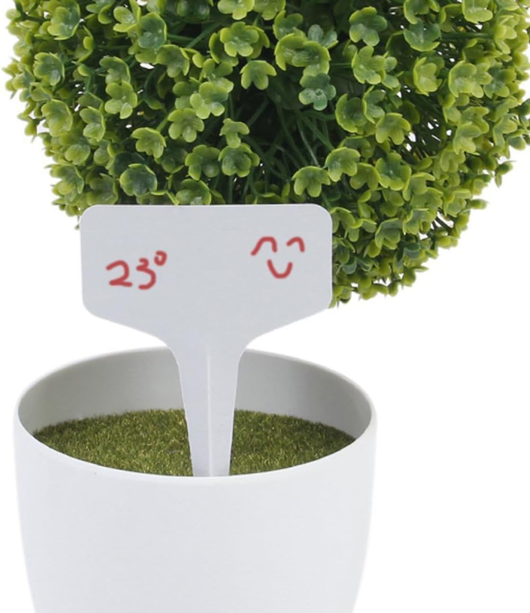 600 pcs Succulents Plants Vegetable Plants suculentas Plastic Tags ...