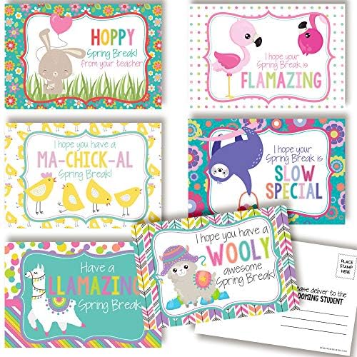 Amazon.com: Cute Animals & Fun Times Last Day Of School Have A Great ...