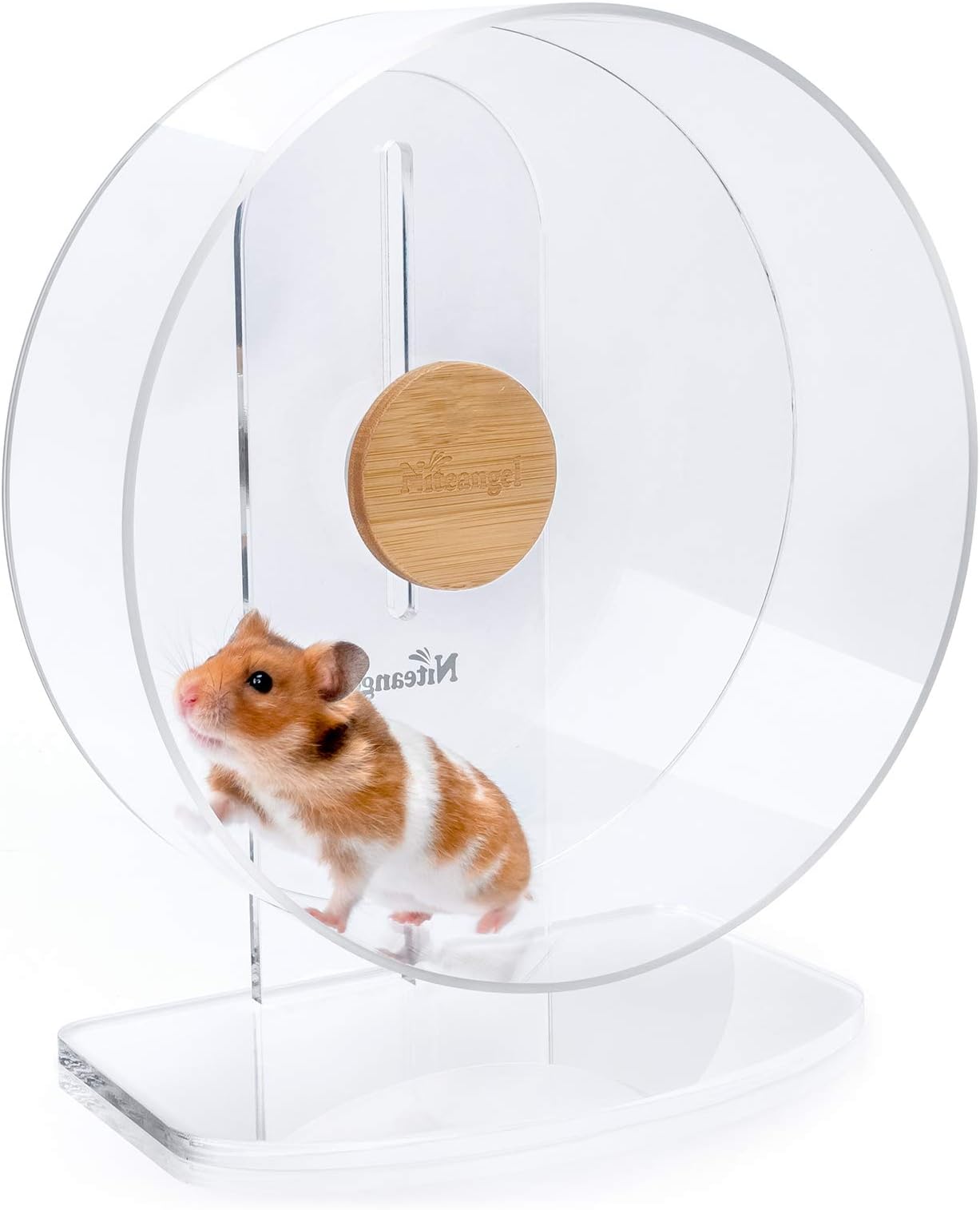 Amazon.com : Smart Hamster Wheel - SpinBit (Blue) : Pet Supplies