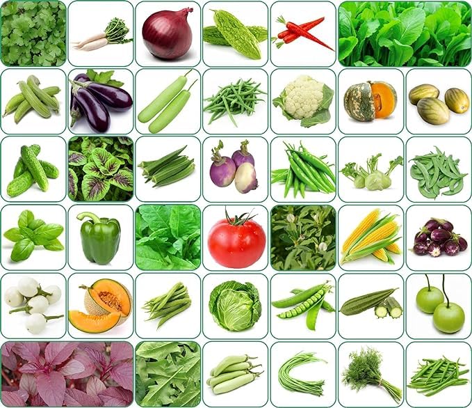 VIHAAN Vegetable Organic and Hybrid Seeds for All-Season, Easy to Grow ...