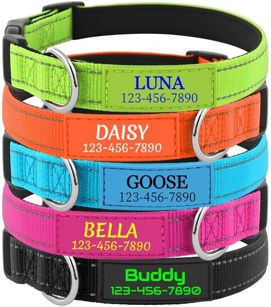Personalised Dog Collars with Name, Custom Reflective Padded Dog Collar ...