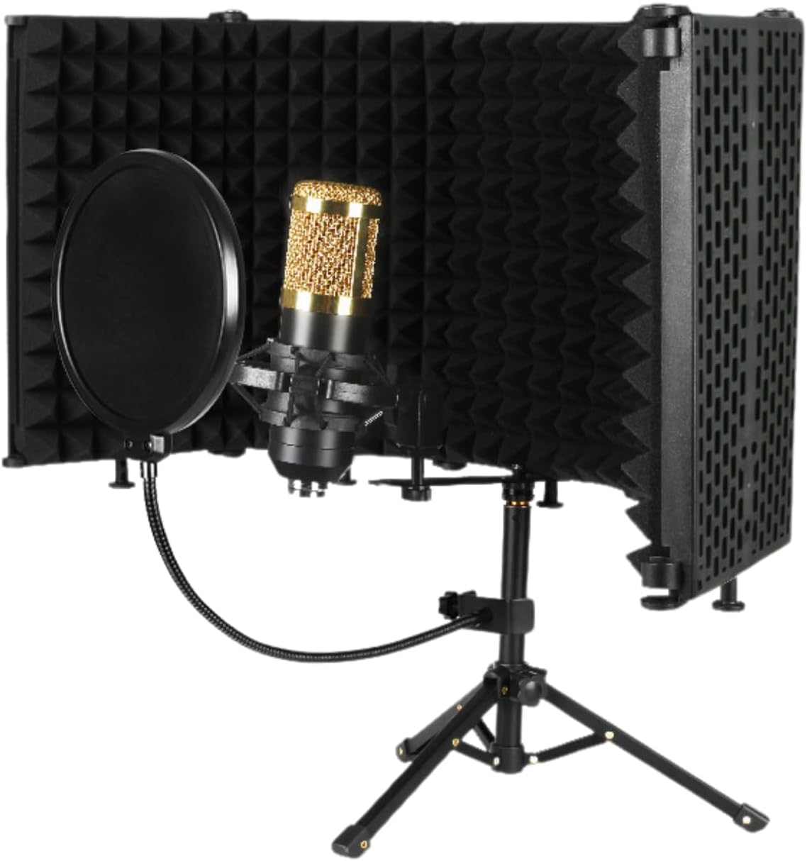 Amazon.com: Recording Microphone Isolation Shield with Pop Filter, High ...