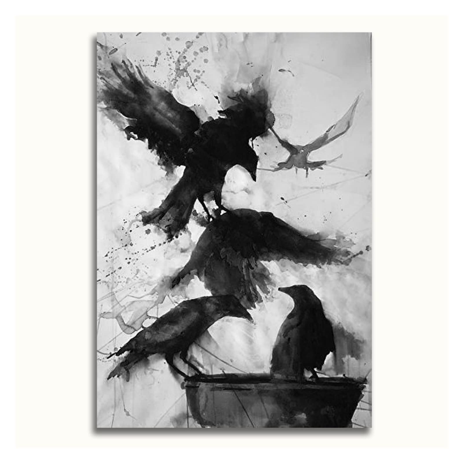 Raven Flock Drawings