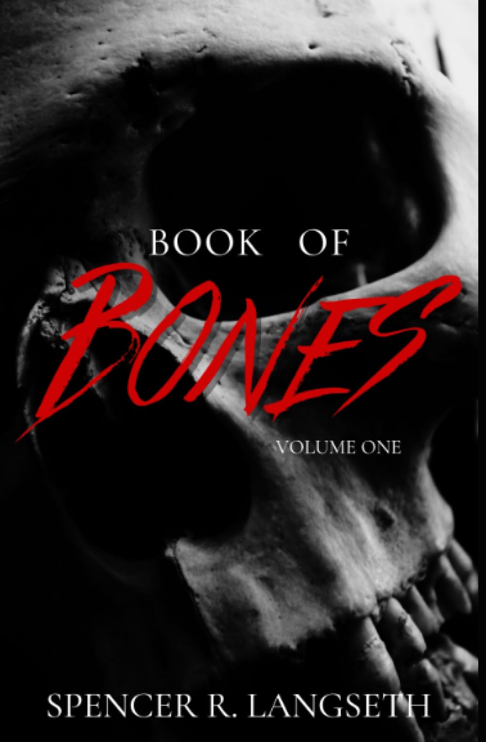 Book of bones: volume one: Langseth, Spencer R.: 9798851169885: Amazon ...