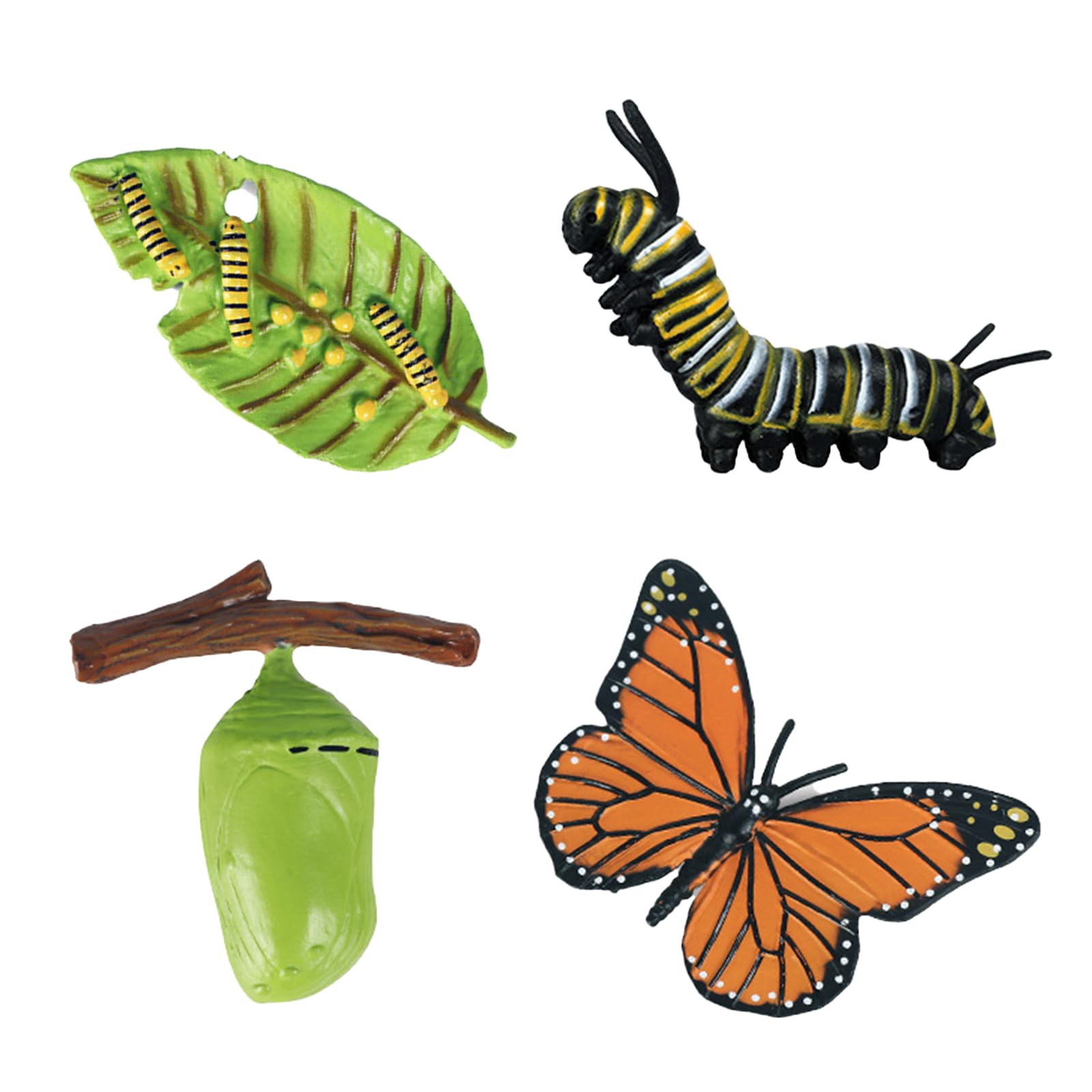 Buy Life Cycle of A Butterfly 4pcs Insect modelling Realistic Animal ...