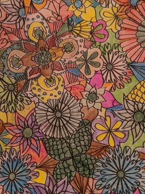 Amazon.com: 2019 Adult Coloring Book Daily Planner - Calendar, Spiral ...