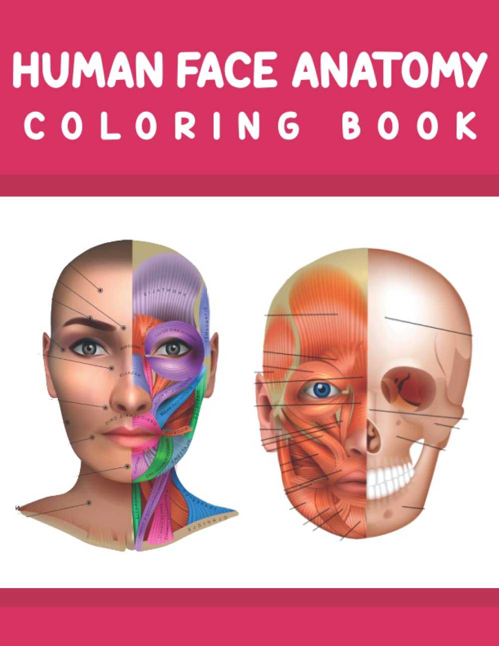 Buy Human Face Anatomy Coloring Book: New Surprising Magnificent ...