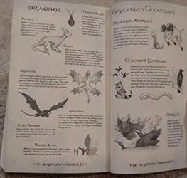 Amazon.com: Dragon Thief: The Skystone Chronicles, Book 1 (Audible Audio Edition): Blake and ...