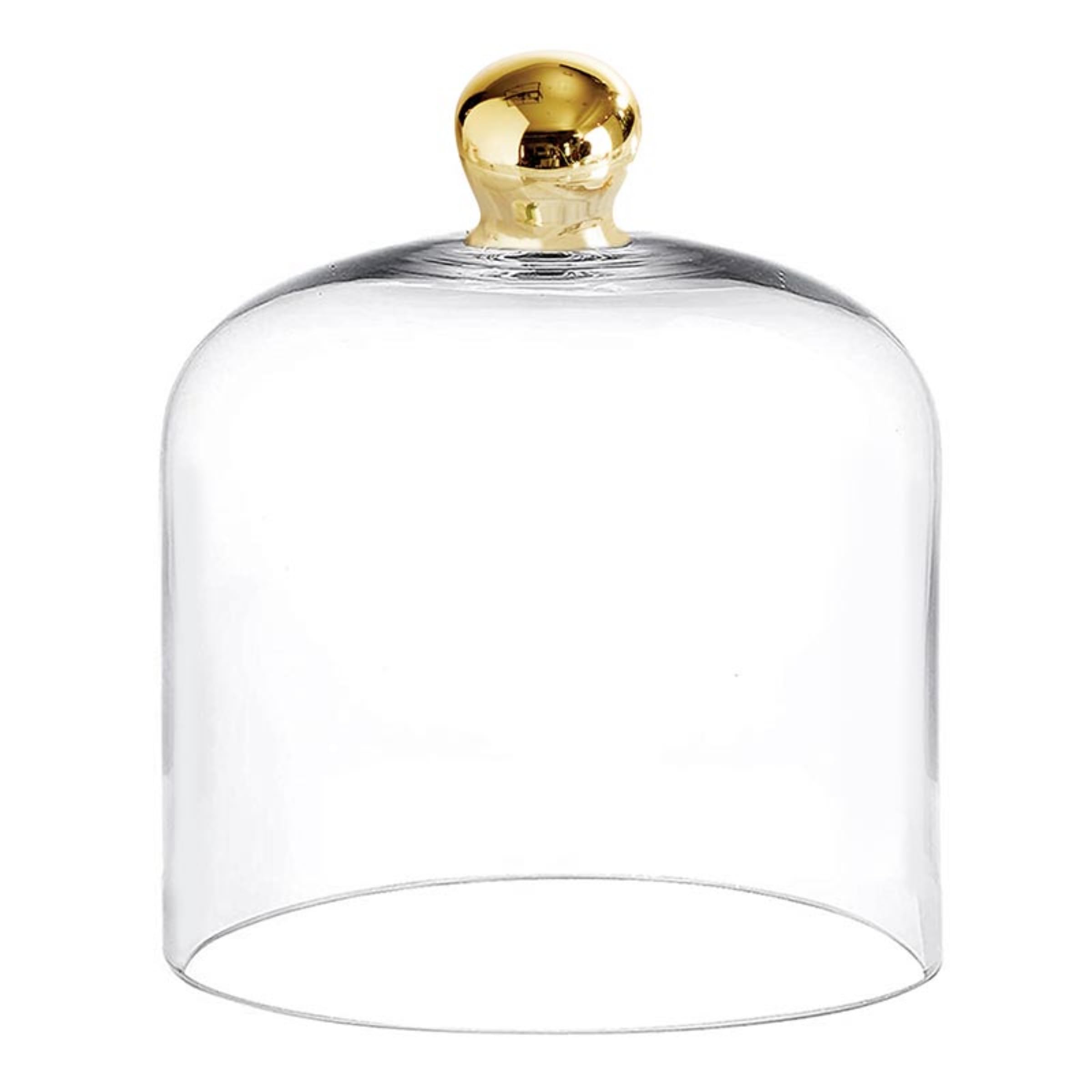 Amazon.com: Santa Barbara Design Studio Glass Dome Food Cover Gold Knob ...