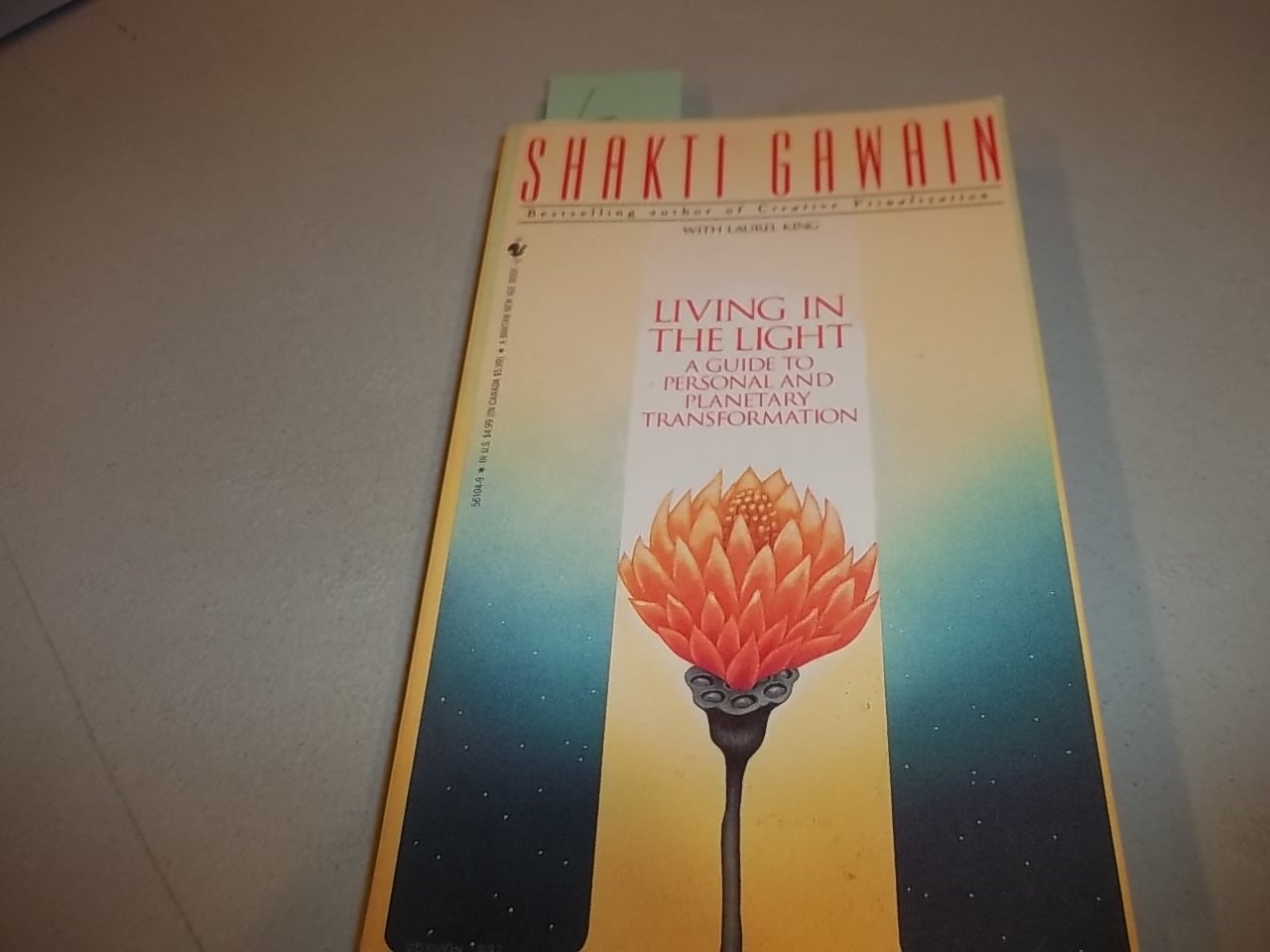 Living in the Light: A Guide To Personal And Planetary Transformation ...