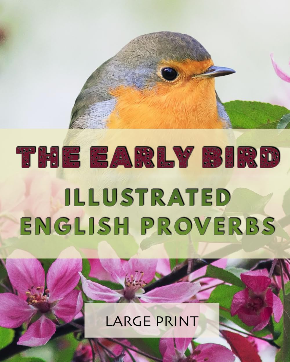 The Early Bird: Illustrated English Proverbs: Large Print: A dementia ...