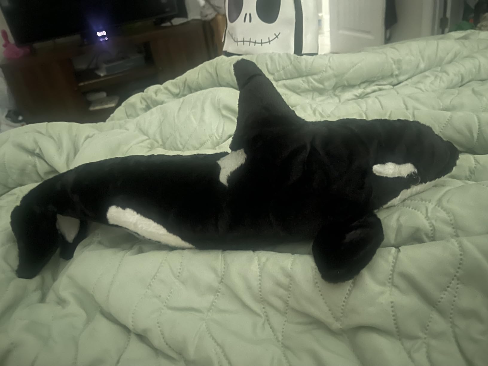 Amazon.com: FRANKIEZHOU Simulation Orca Stuffed Animal,Lifelike 15.7 ...