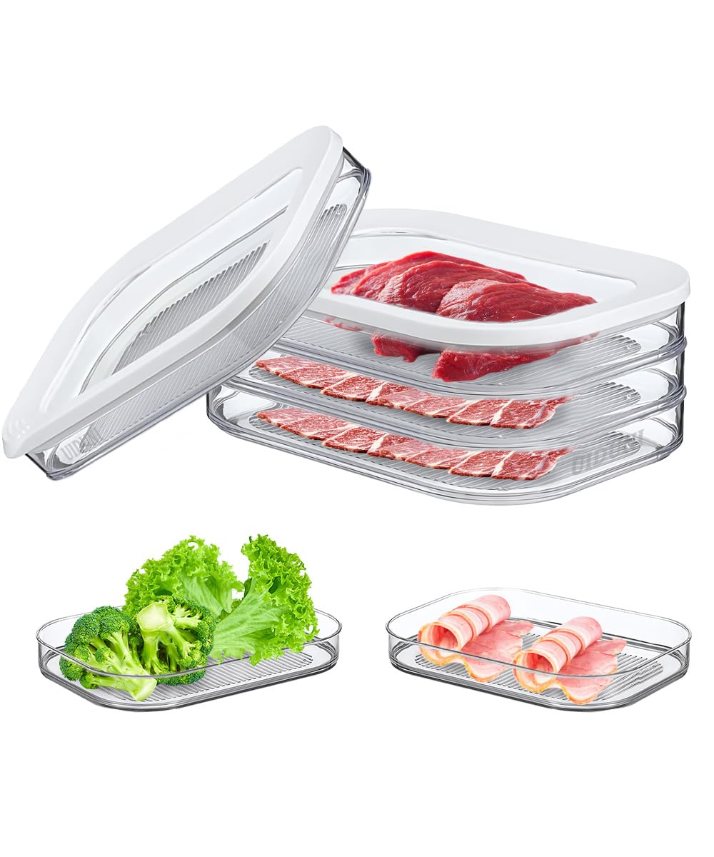 Amazon.com: UIDUNI Japanese Deli Meat Container for Fridge with cold ...