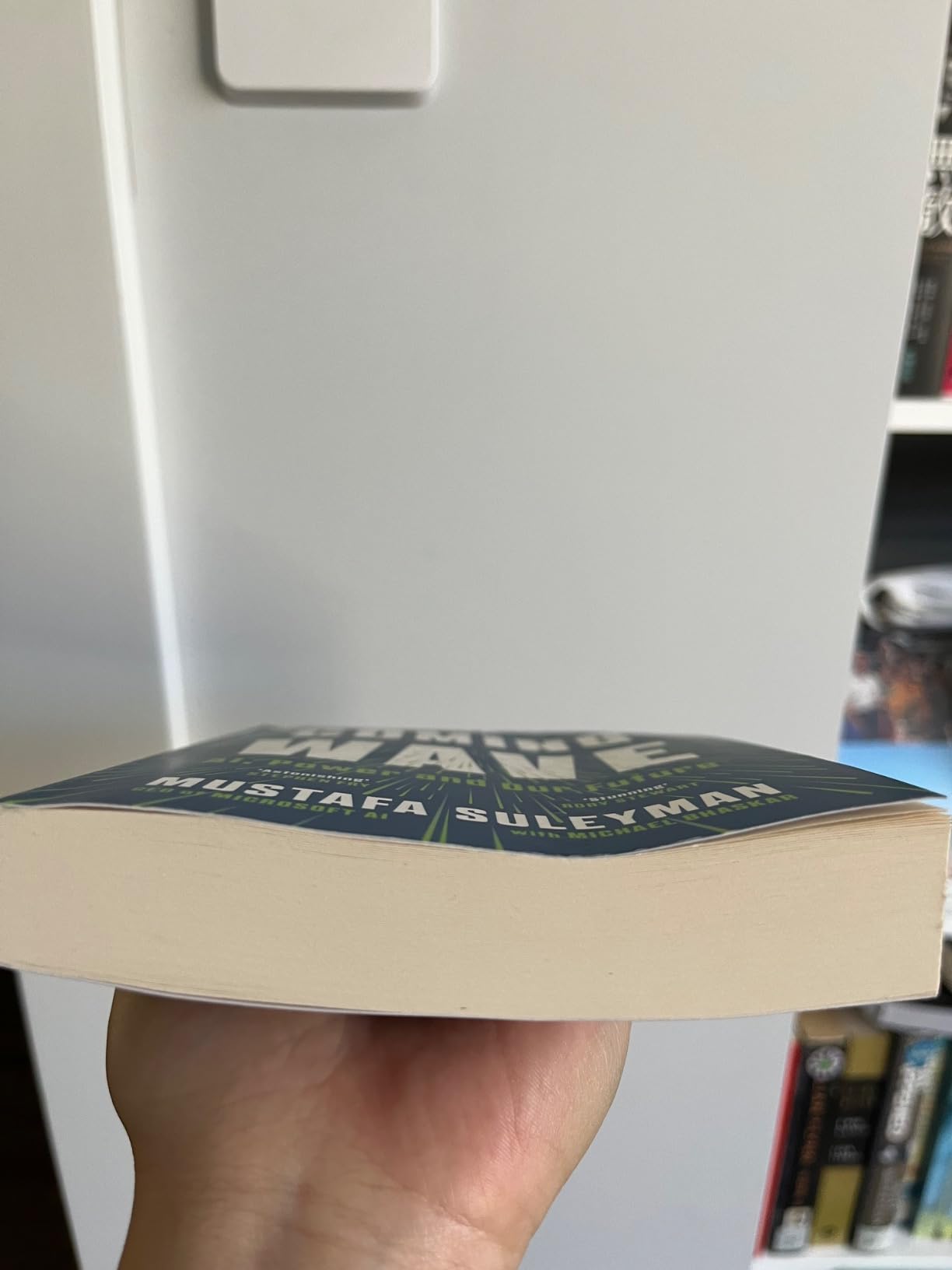 The Coming Wave: The instant Sunday Times bestseller from the ultimate ...