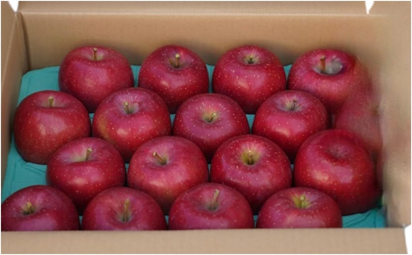 Amazon.co.jp: 10月 特Aシナノスイート約5kg（12～16個）13度糖度保証【青森りんご・ゆうきアップル・10月】 果物類 フルーツ 果物 ジューシー : 食品・飲料・お酒