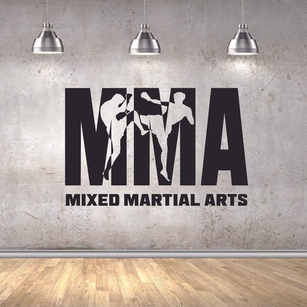 Amazon.com: Mixed Martial Arts Training/MMA Intense Classes Martial ...