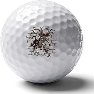 The Surprising Speed Of Donkeys: How They Measure Up In The Animal ...