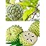 Amazon.com: Fresh Guanabana (Soursop, Graviola) 1-2 Lb Fruit : Grocery & Gourmet Food