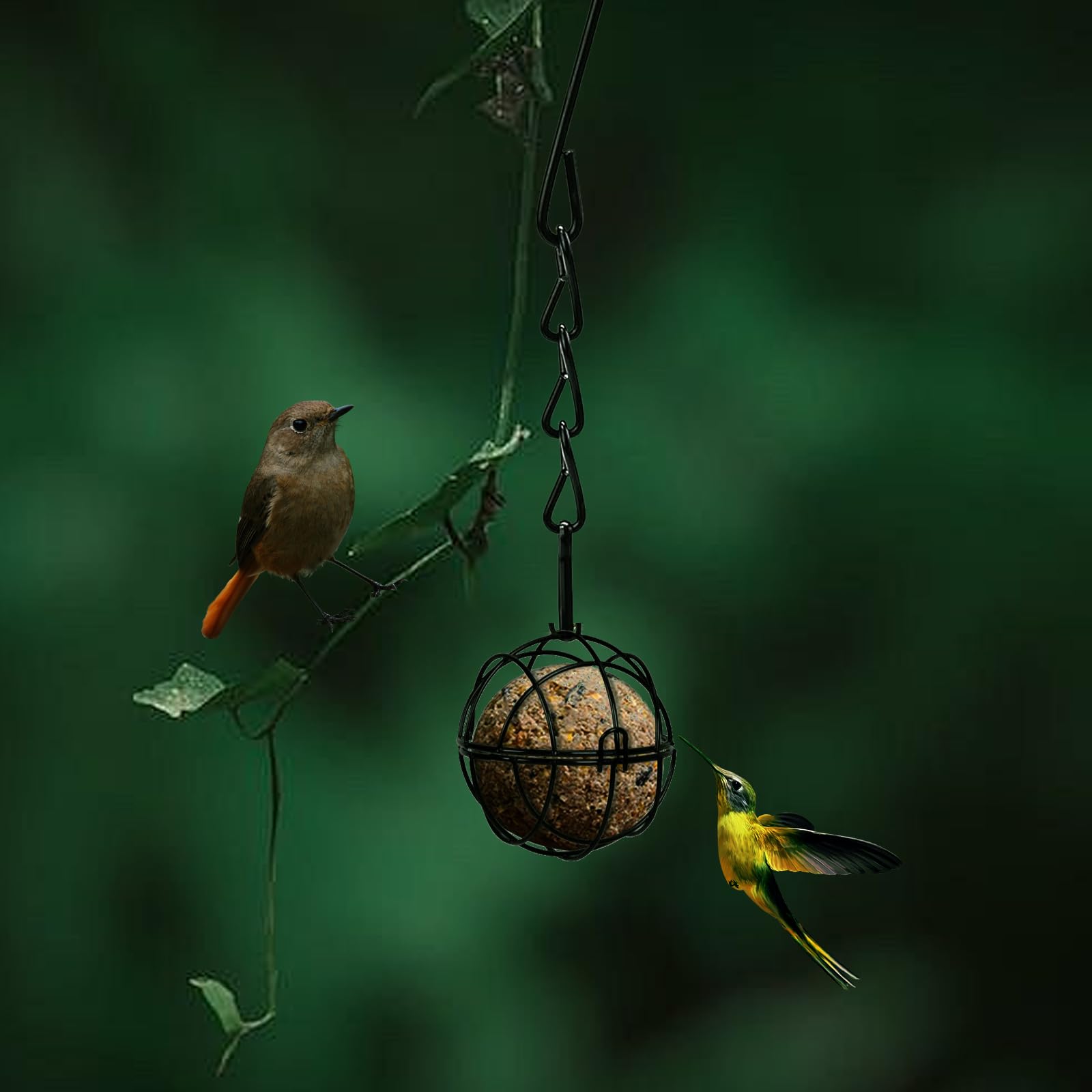 ONEMEAN Fat Ball Bird Feeder Set with Hook, 4-Piece Metal Birdfeede ...