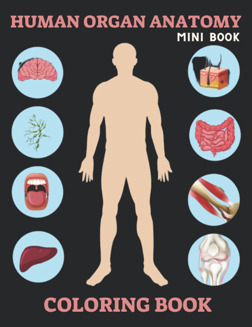 Buy human organ anatomy coloring book | The identity of the anatomy of ...