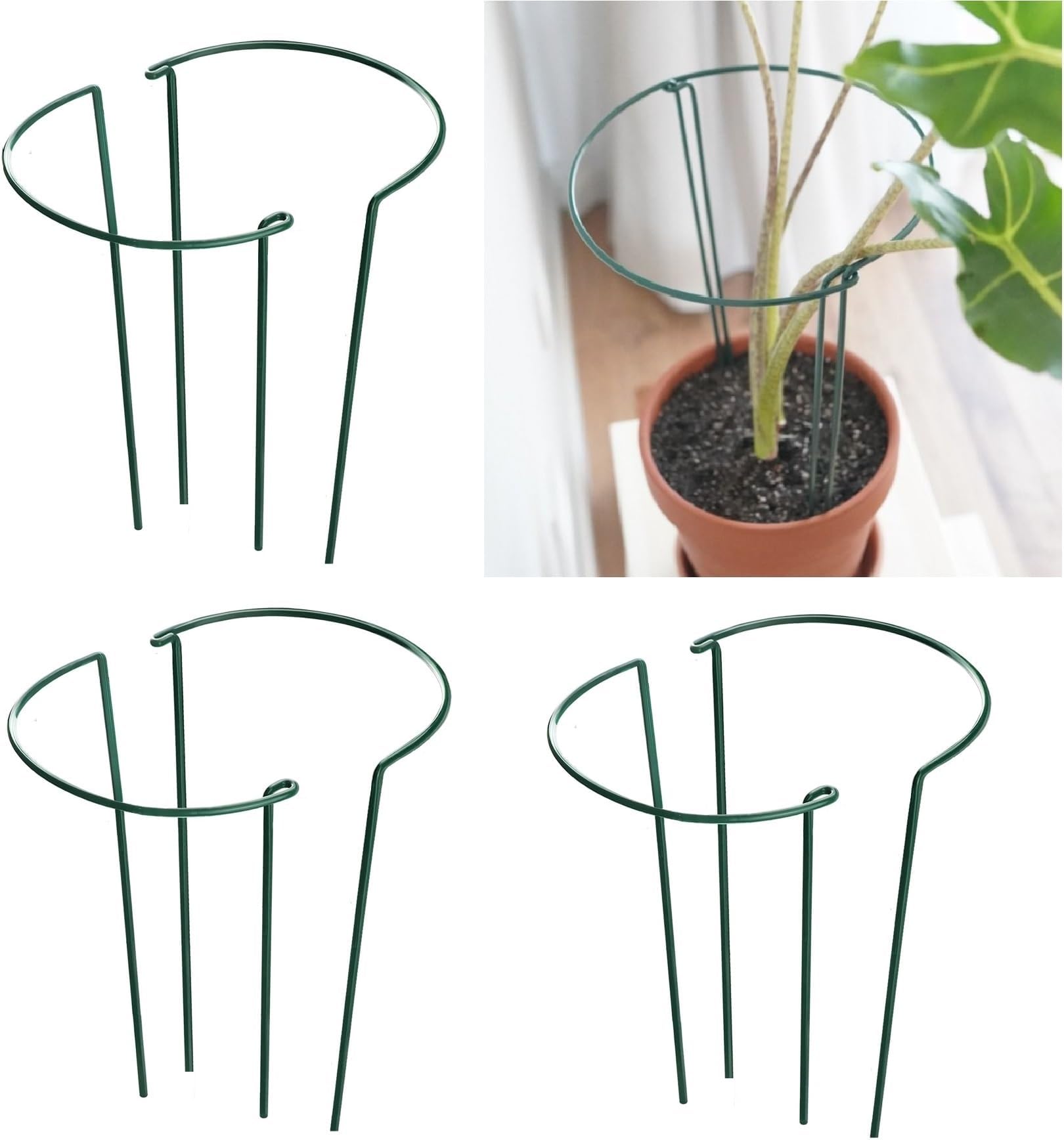 Amazon.com : Hanobo 5 Pack Garden Plant Support Rings for Potted Plant ...