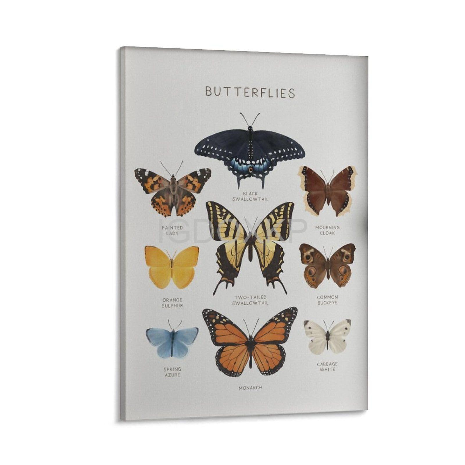 Monarch Butterfly Worksheets My Butterfly Observation Journal Nature