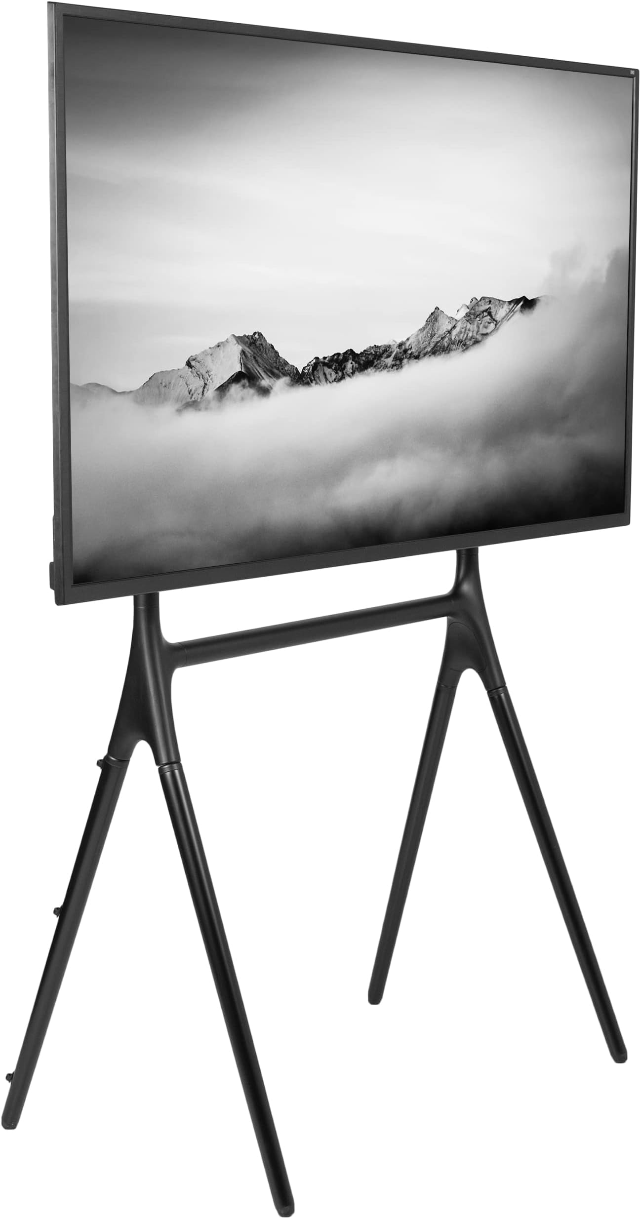 Amazon.com: LG OLED Gallery Floor Stand (FS22GA, 2022) : Electronics